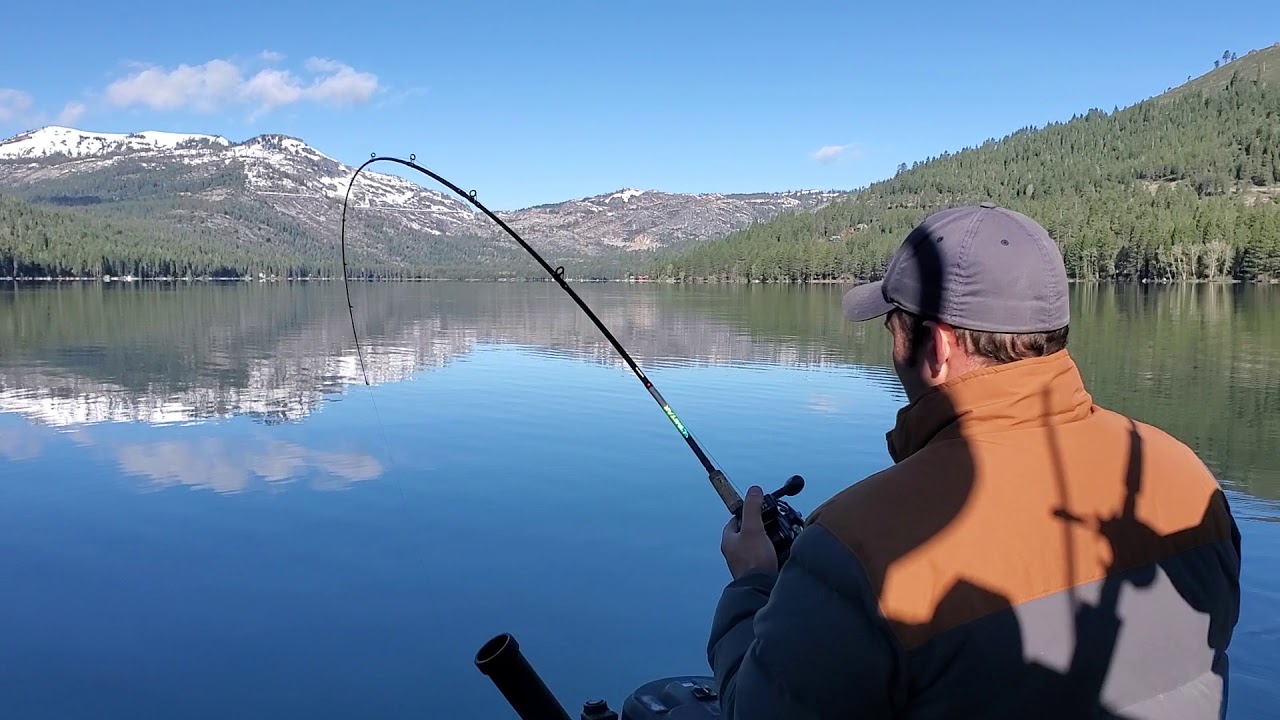 Donner Lake 20+ pound Lake Trout - YouTube