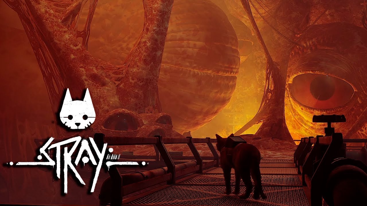 STRAY - Os Bizarros Olhos Gigantes!! | Parte 6 - YouTube