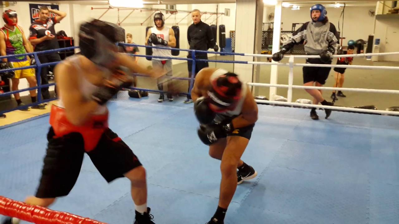 Silverback Boxing Sparring With The Giants - YouTube