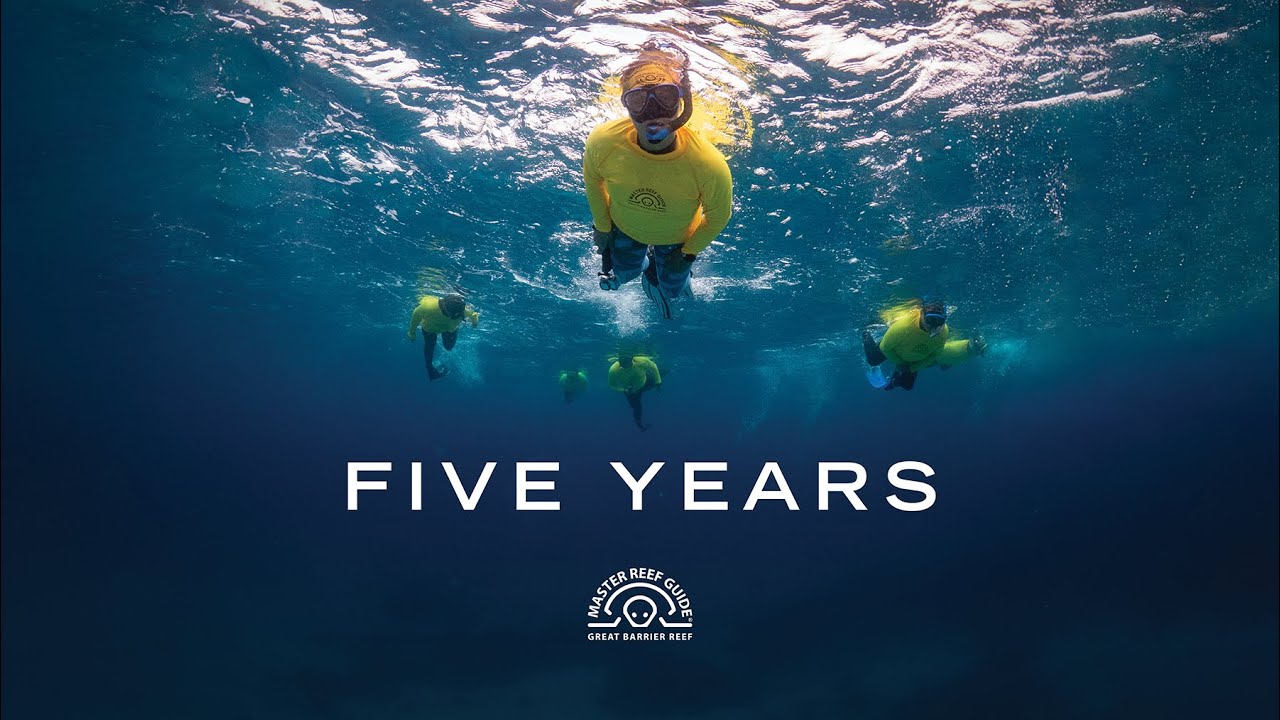 Journey through 5 Years: The Master Reef Guide Program | Great Barrier ...