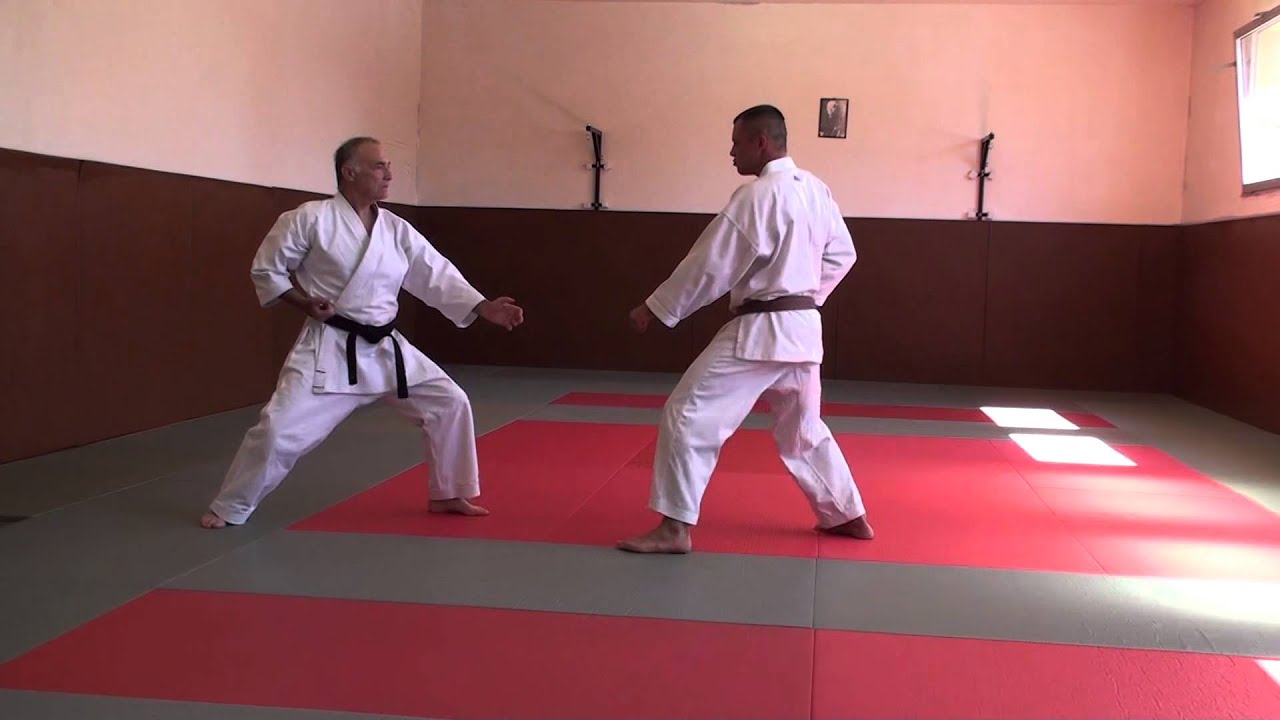 HEIAN NIDAN - Bunkai - Préparation passage de grade 1 er dan. - YouTube