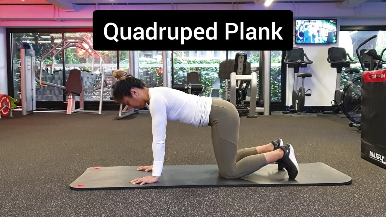 Quadruped Plank - Technique breakdown - YouTube