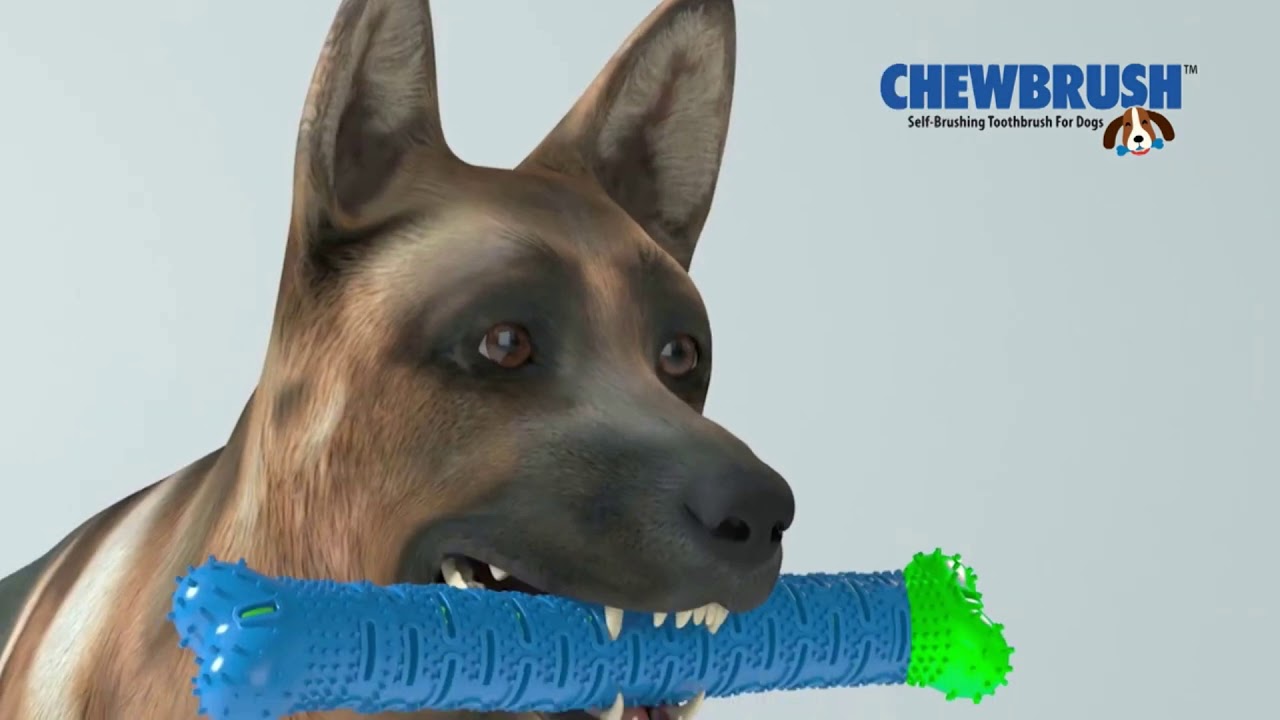 CHEWBRUSH - YouTube