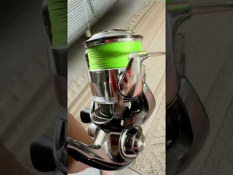 Daiwa Exist 22 2000D Drag Sound (Kalama Sesi), Luvias 15 2004H Drag Sound. #dragscreaming #kalama