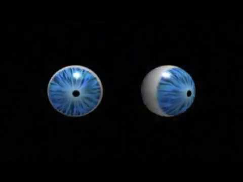 Um tut sut - YouTube