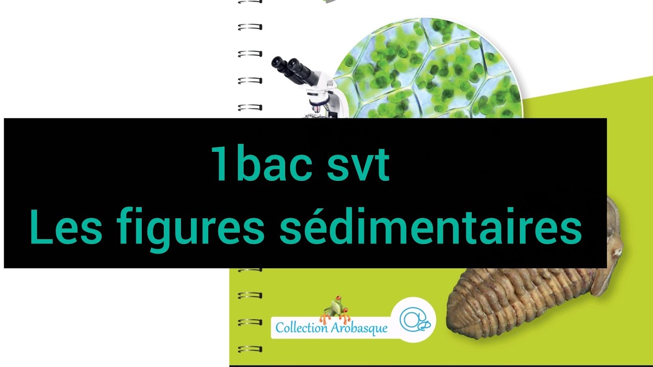 1bac svt unité 1 : les figures sédimentaires /documents arobasque - YouTube
