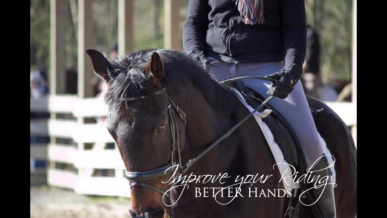 Improve Your Riding Better Hands- Three Exercises - YouTube