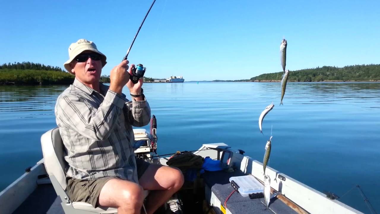 Mackerel fishing in Blacks harbour - YouTube