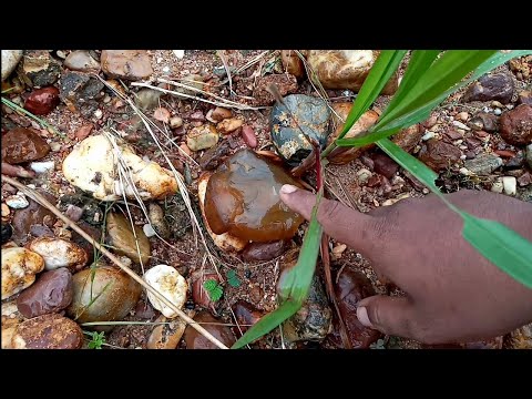 cari bahan batu akik di spot yang joss mantep nya