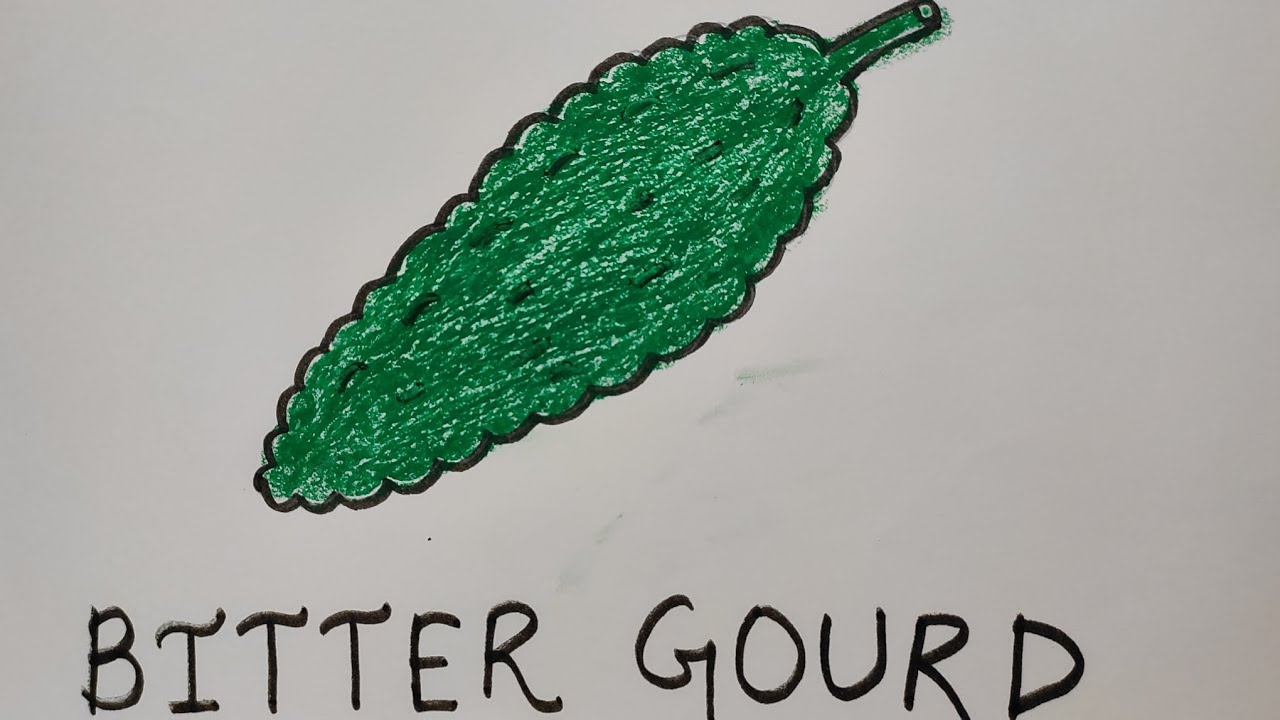 Bitter Gourd Easy Drawing - YouTube