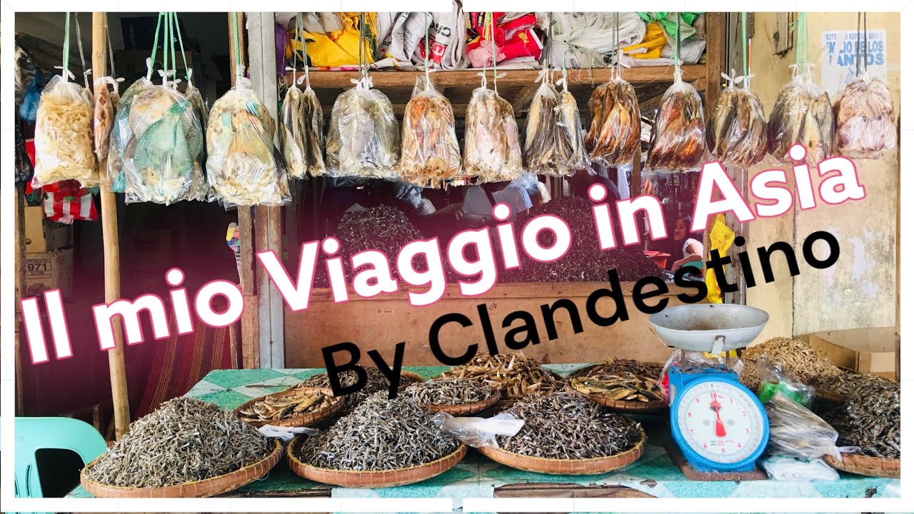 Il mio viaggio in Asia : Best of - YouTube