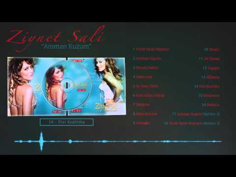 Ziynet Sali - Etsi Ksafnika ( Official Lyric Video )