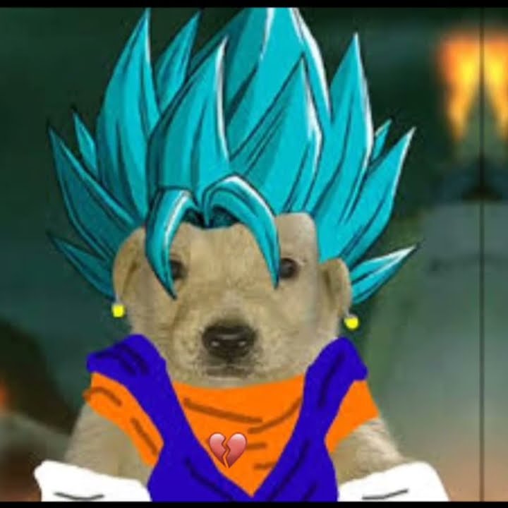 colab con perrito Goku - YouTube