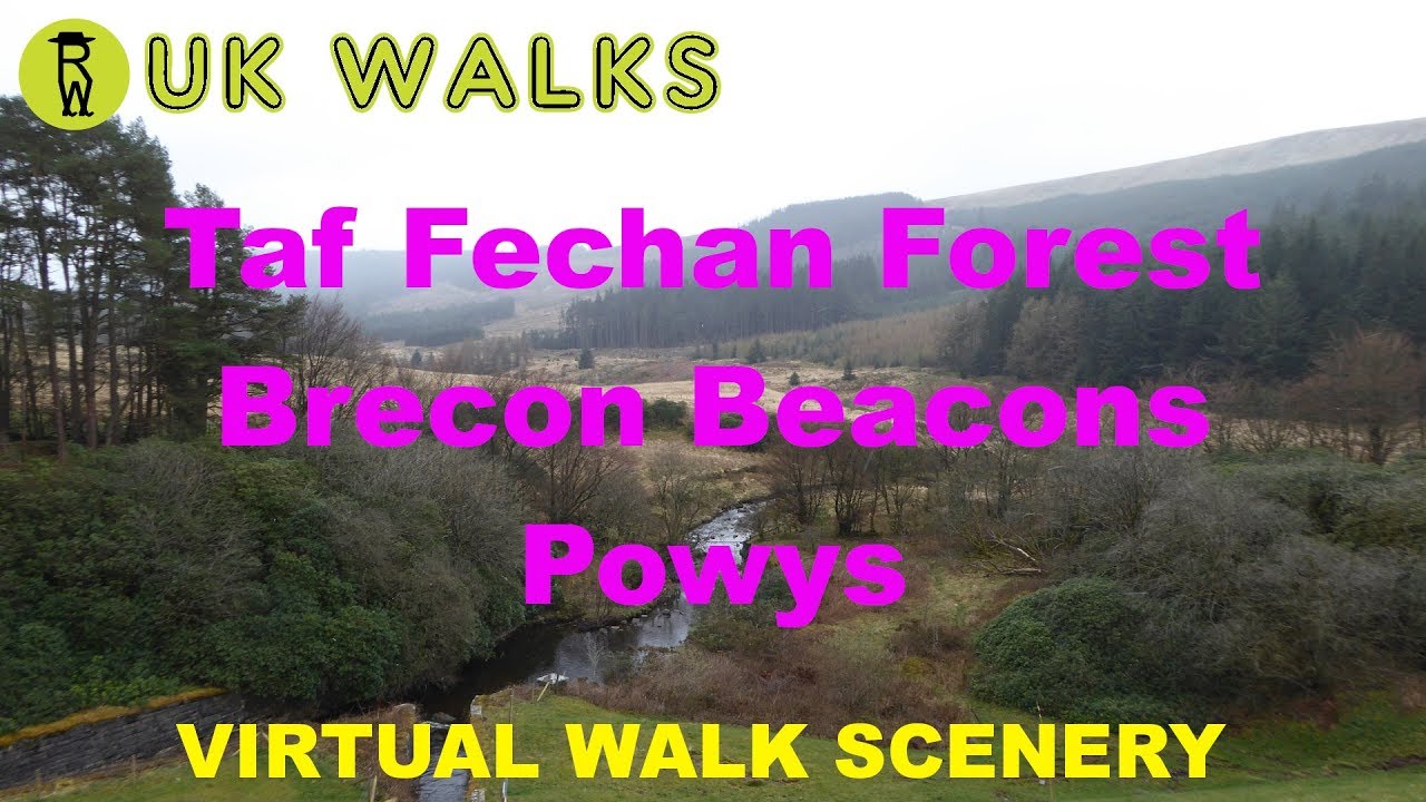 Taf Fechan Forest Walk, Brecon Beacons Walks In Powys, Route & Scenery ...