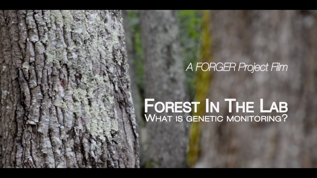 Forest in the lab - YouTube