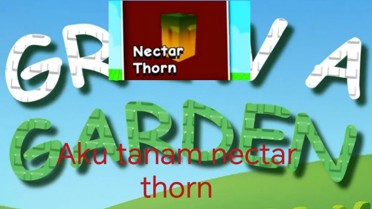 Aku tanam nectar thorn di grow a garden - YouTube