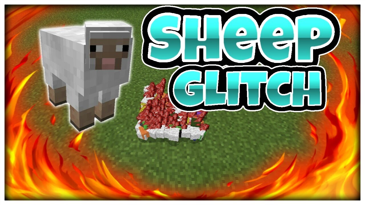 Sheep Glitch/Minecraft Pe 1.0.0 - YouTube