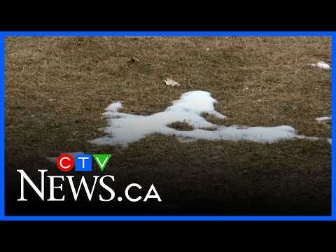 Moderate dry winter, disastrous spring in store for Alberta