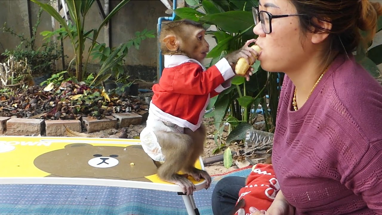 Amazing!! Tiny Shusy Share Banana To Mom For Break - YouTube
