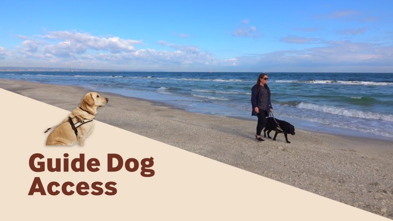 International Guide Dog Day 2019 - YouTube