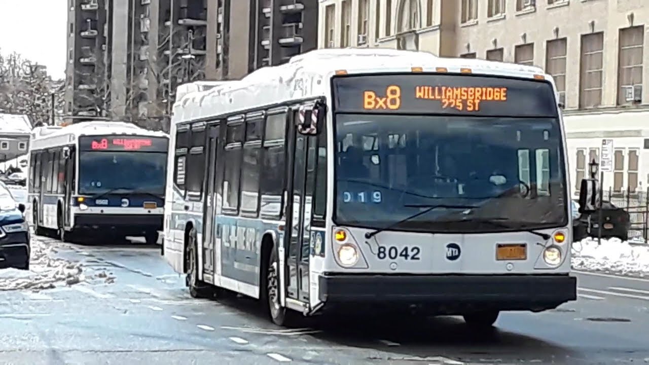 [Rare] MTA: 2011-2016 NovaBus LFS's [8042]/[8502] Bx8 buses - YouTube