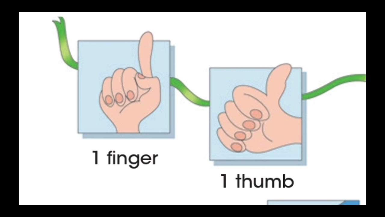 1 finger 1 thumb - YouTube