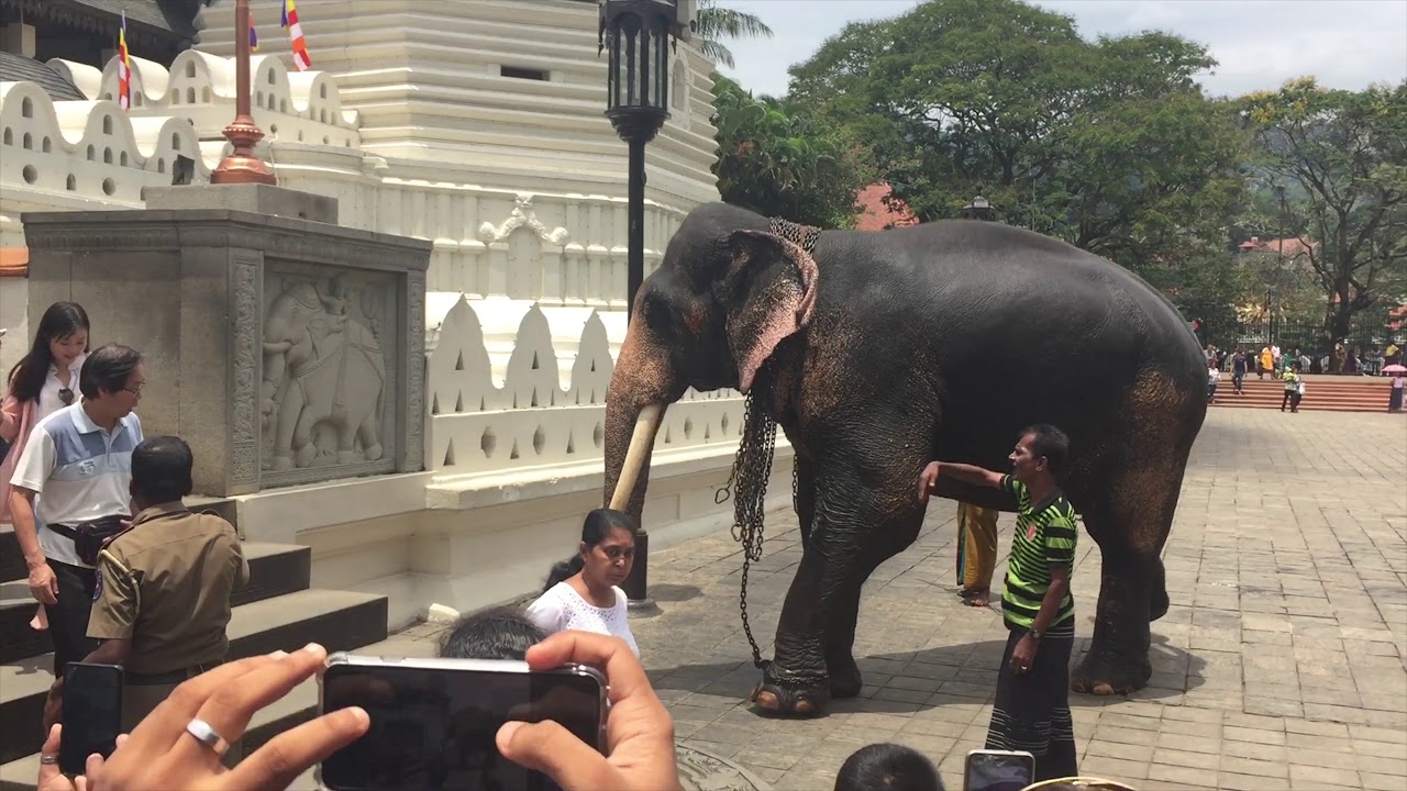 [1080p] Backpacking trough Sri-Lanka - YouTube