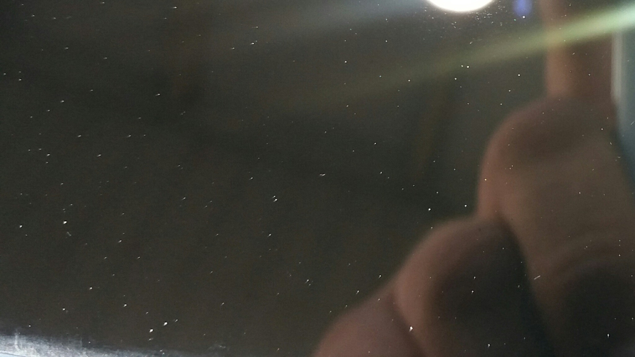 ICECLE Live PS4 Broadcast - YouTube