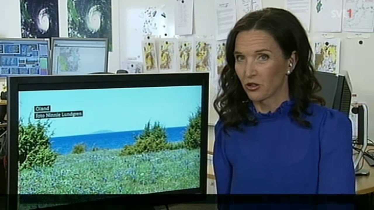 Pia Hultgren Tora Dahlström Sverige Idag - YouTube