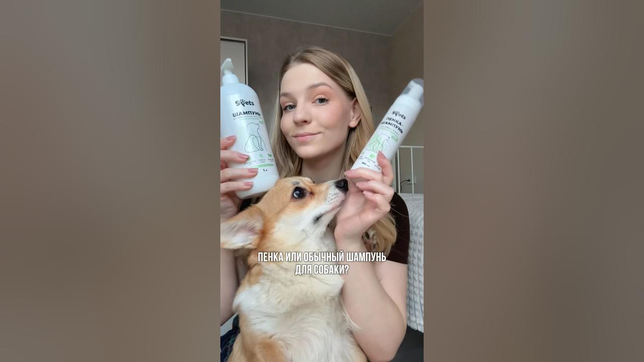 КАКОЙ ШАМПУНЬ ВЫБРАТЬ ДЛЯ СОБАКИ? #собаки #животные #корги - YouTube
