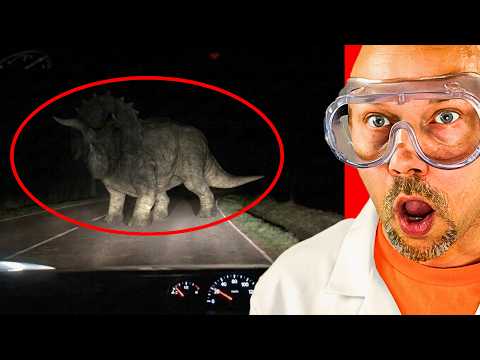 Insane Dinosaurs Caught On Camera