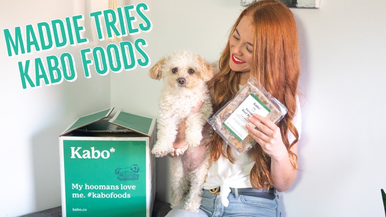 KABO FOODS | UNBOXING, MADDIE'S TASTE TEST + REVIEW 🐶🍽 - YouTube