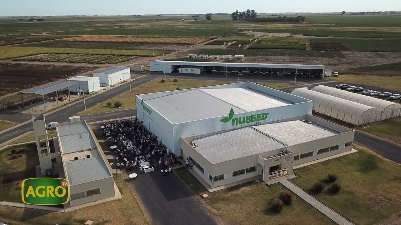 Innovaciones de Nuseed: Conectando productores e industria, más allá ...