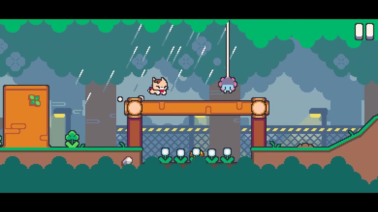Pascal the cat does stunts. - YouTube