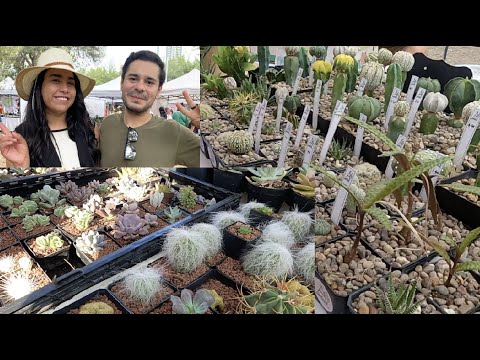 Expo cactus y suculentas Monterrey, nos reunimos para conocer a Meli ...
