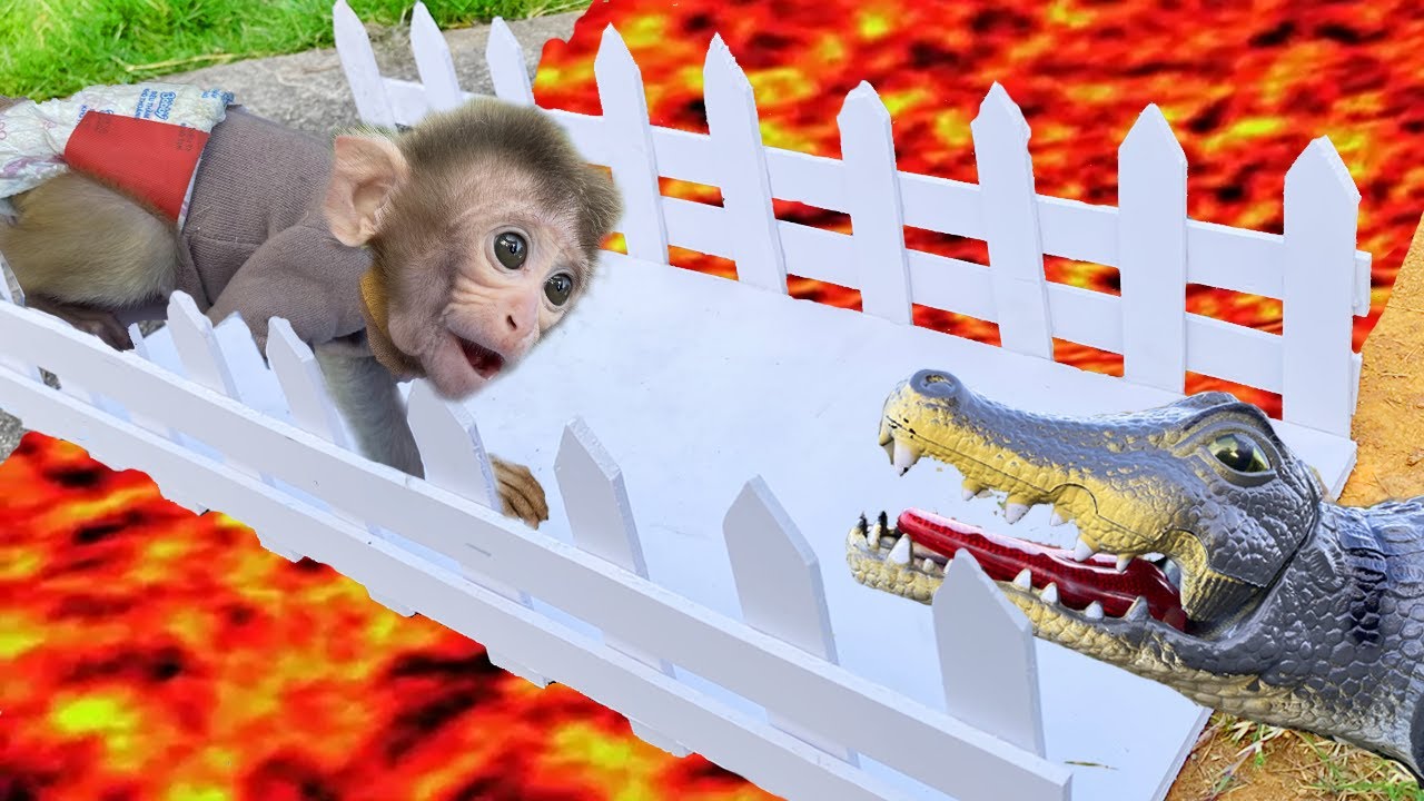 Monkey Baby BuBu goes to harvest Egg Crocodile open surprise eggs - YouTube