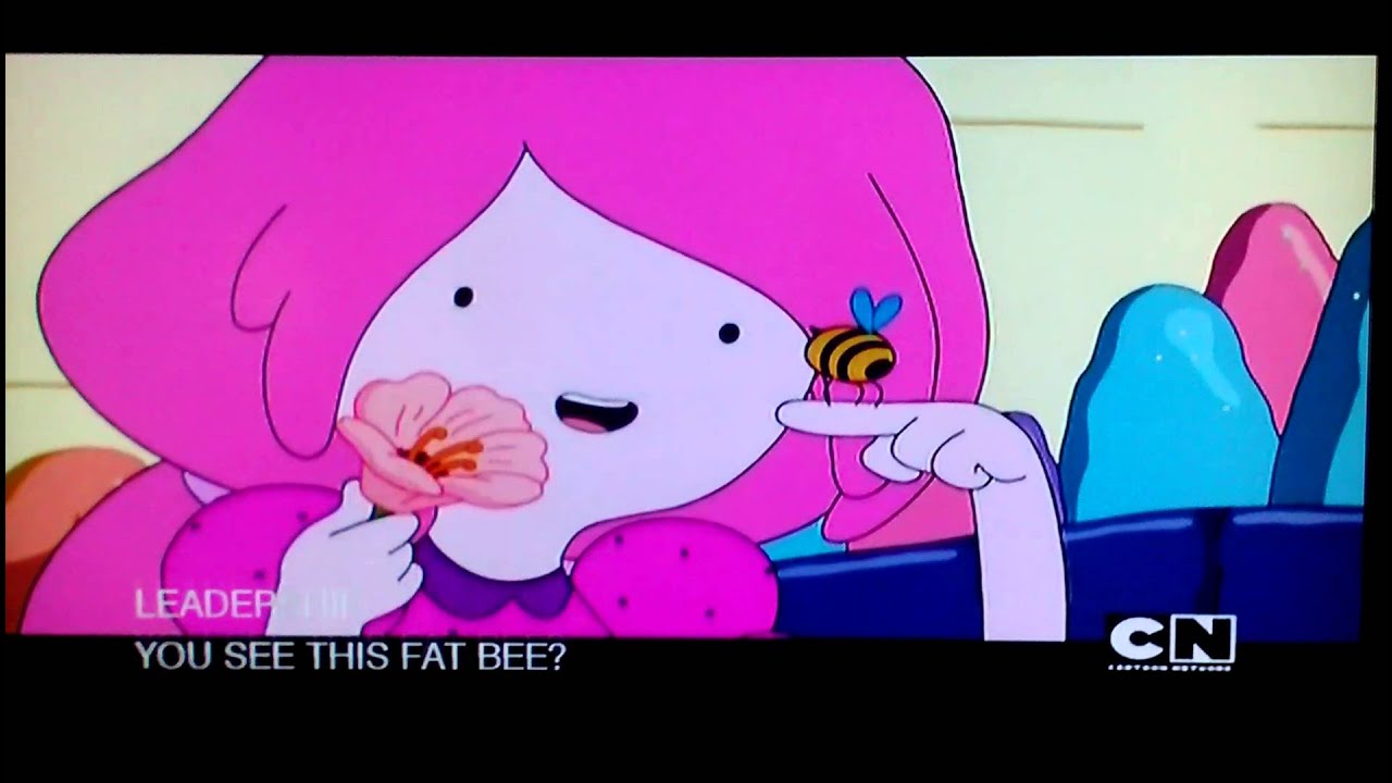 Naughty fat bee-Adventure Time - YouTube