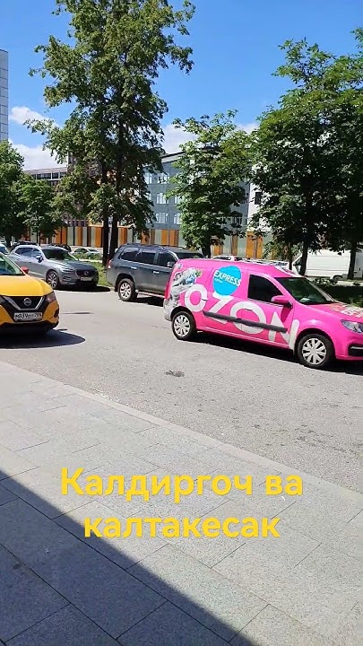 калдиргоч ва калтакесак хакида билмаганлар борми😏😔😔😔😔 - YouTube