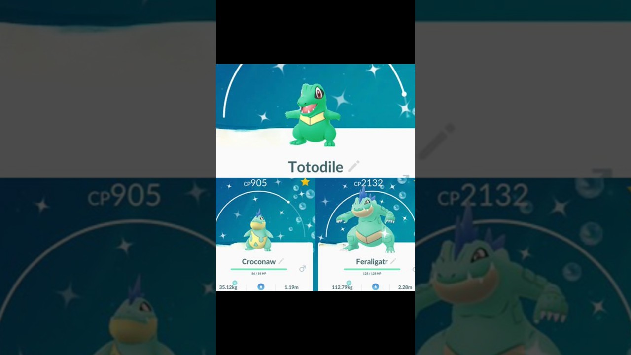 Shiny Totodile evolve Shiny Croconaw evolve Shiny Feraligatr evolve in ...