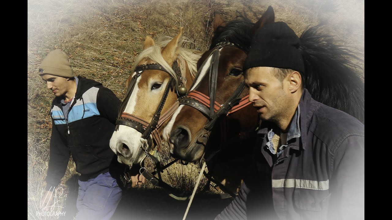 IN TINUTUL MOMARLANILOR URMASII DACILOR LIBERI DUPA FAN CU IONEL DOBRE ...