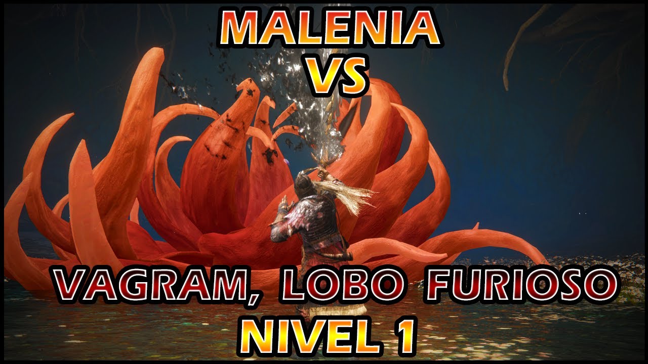 Elden Ring: Malenia VS Lobo Furioso Vagram a Nivel 1 - YouTube