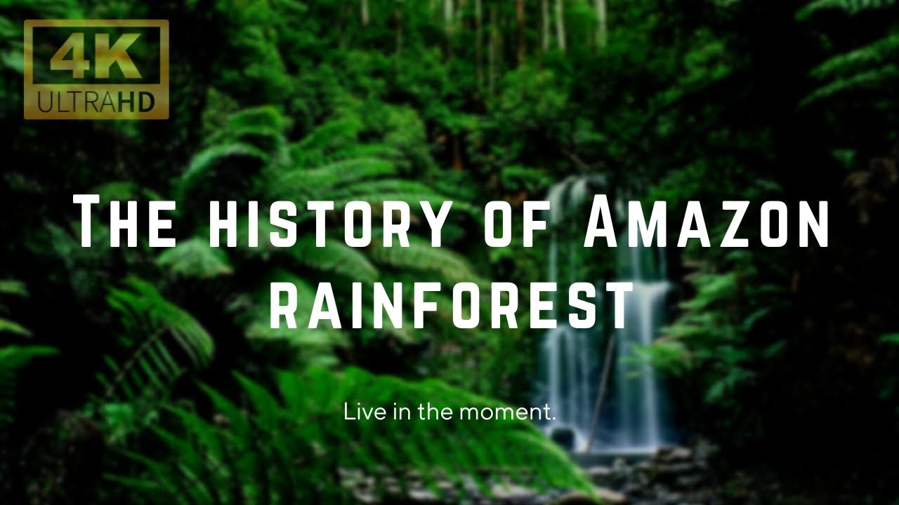 History Of Amozan Rainforest | Cenamatic Video | Explored The Amazon ...