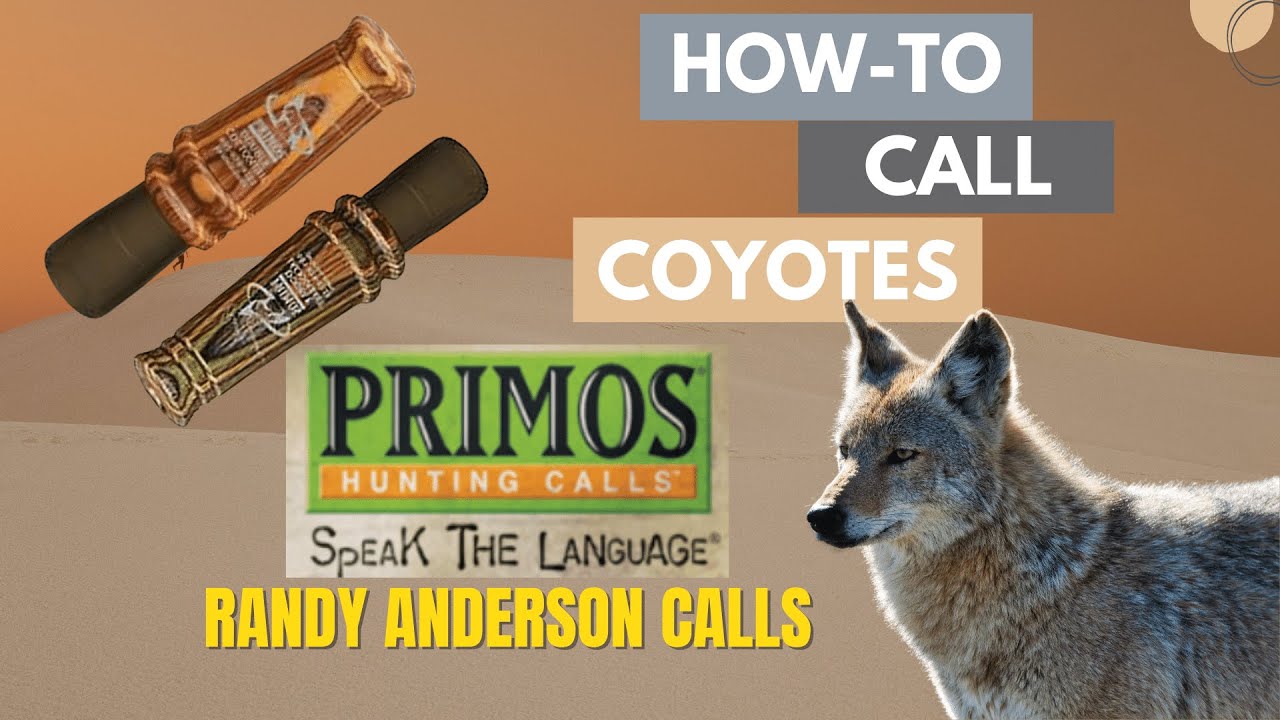 How To Call a Coyote with Primo's Randy Anderson Calls - YouTube
