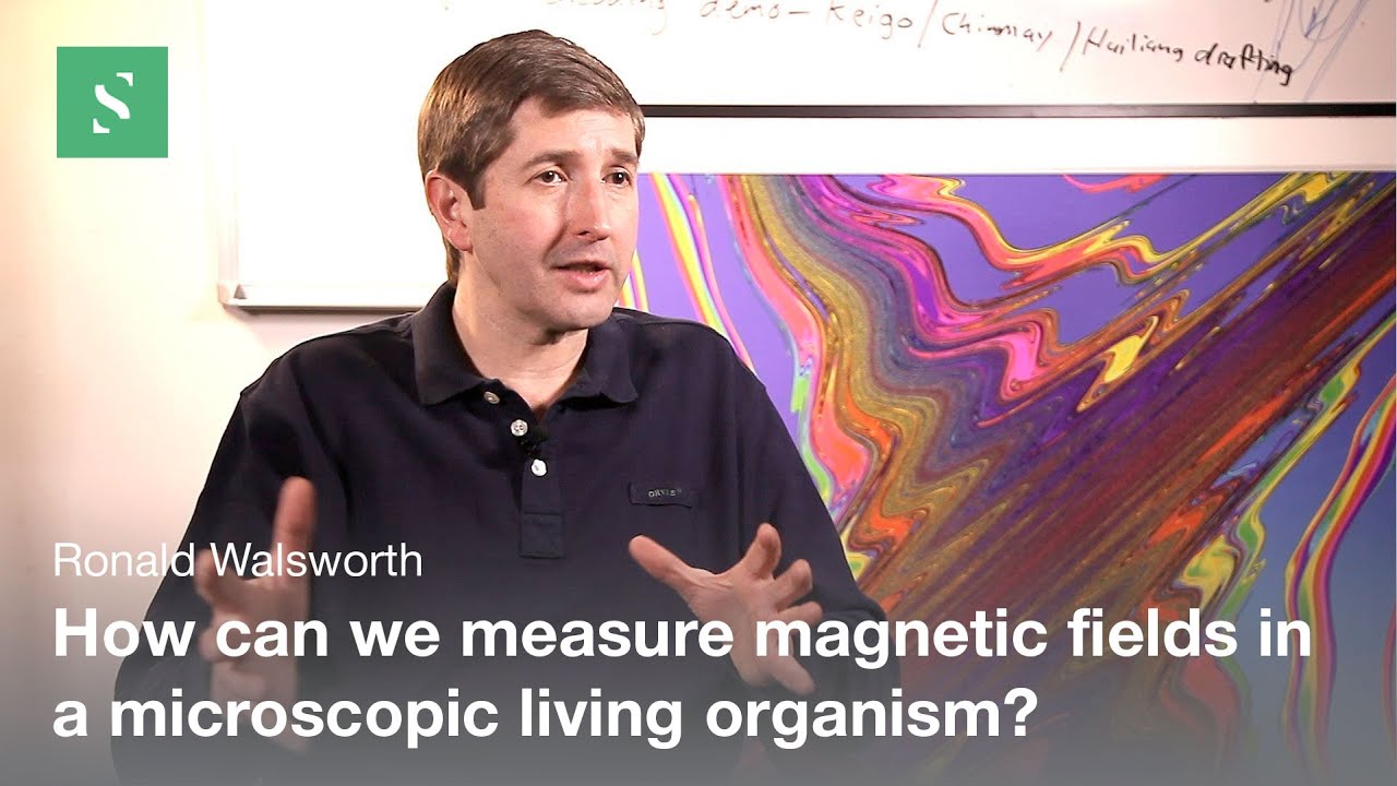 Optical Magnetic Imaging of Living Cells - Ronald Walsworth - YouTube