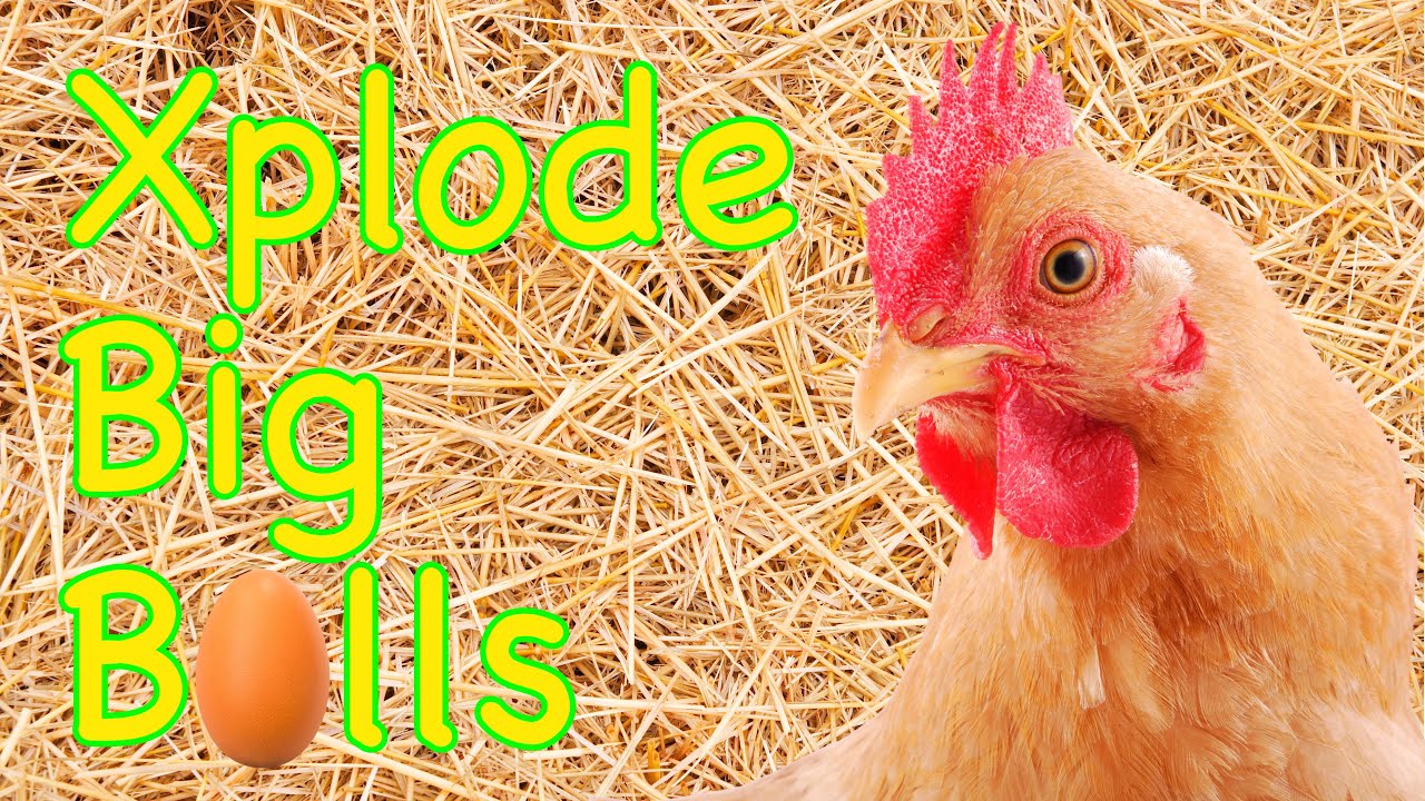 Xplode Big Balls (4K) - YouTube