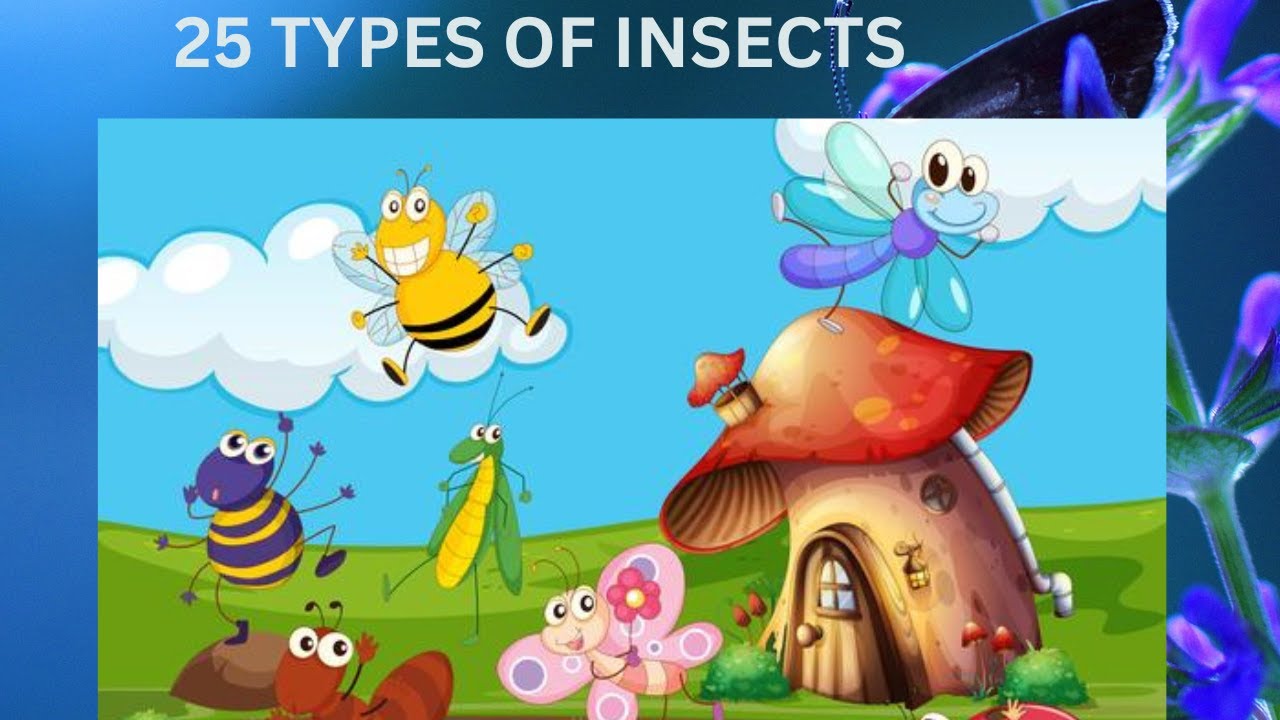 25+ Insect names/ Insect names for kids/ Names of insects #kidsvideo # ...