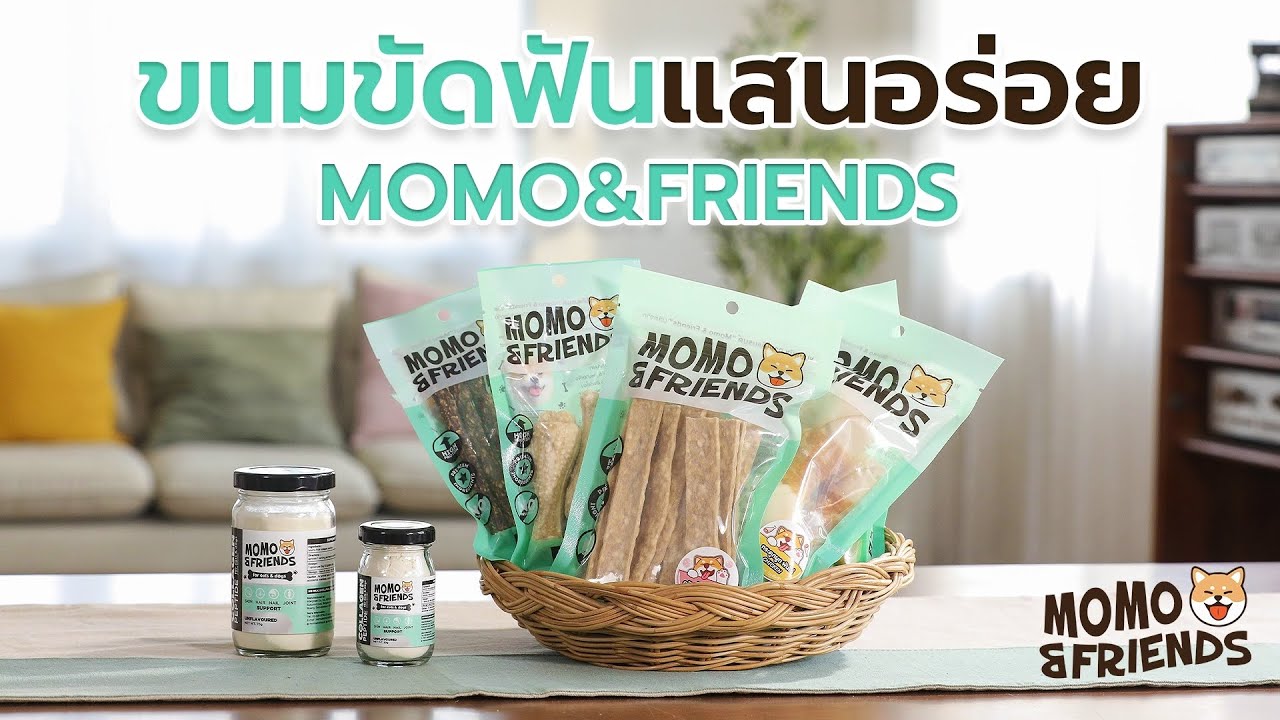 ปฏิบัติการลับ เพื่อขนมขัดฟันแสนอร่อย MOMO&FRIENDS - YouTube