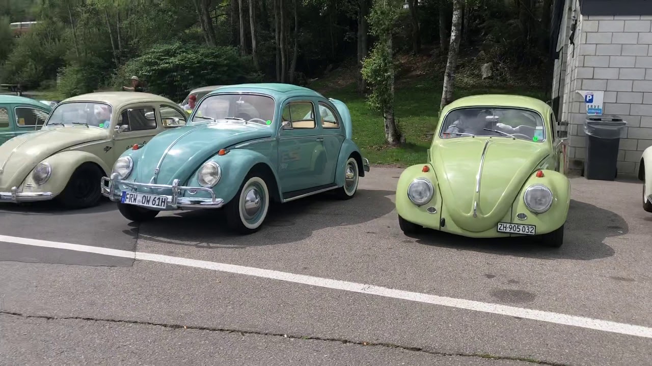 Le Bug Show 2019 - YouTube