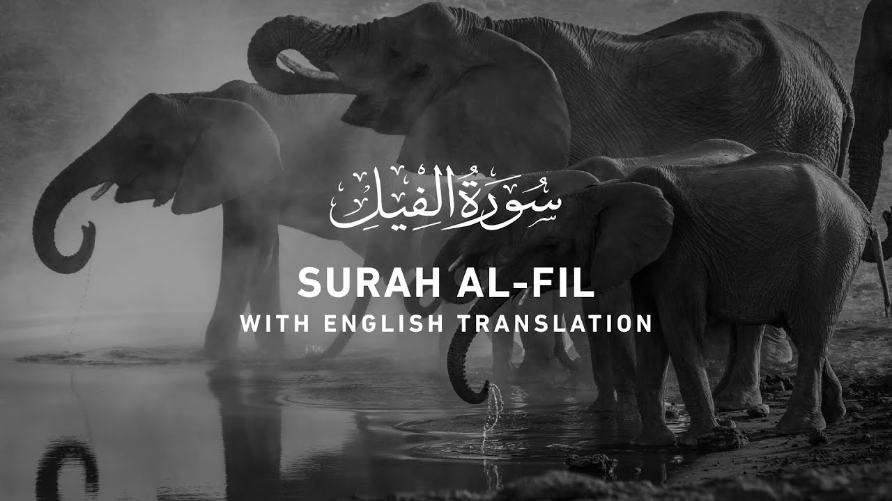 Surah Fil Quran Recitation with English Translation 4k