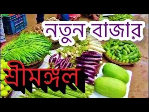 Notun Bazar , sreemangal . Bangladesh 🇧🇩 নতুন বাজার, শ্রীমঙ্গল . - YouTube